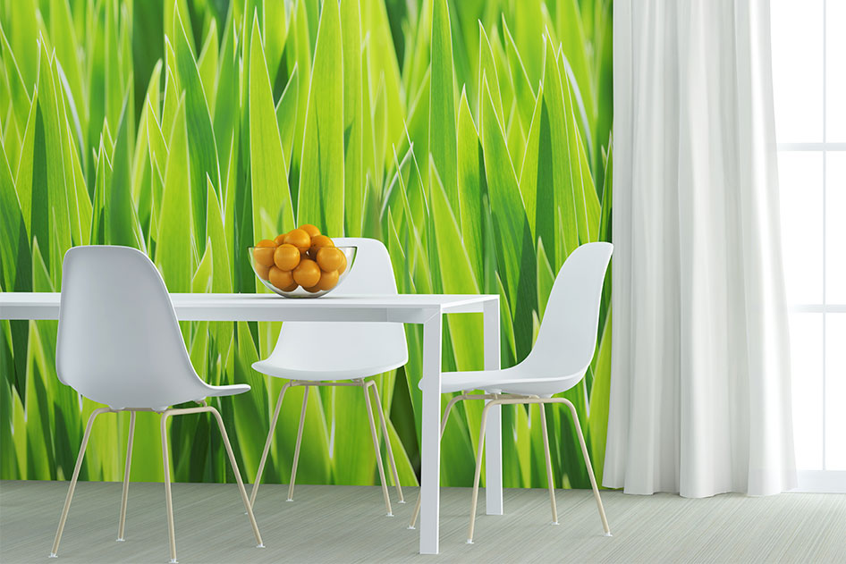 Photo Wall Covering - Mimaki Europe