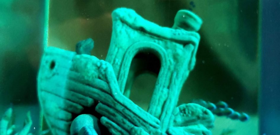 Is this one of the best 3DBenchies ever created? - News - Mimaki Europe